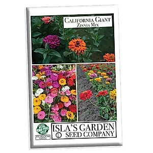 "California Giant Mix" Zinnia Seeds for Planting, 200+ Flower Seeds Per Packet, (Isla's Garden Seeds), Non GMO & Heirloom Seeds, Botanical Name: Zinnia elegans, Great Home Garden Gift