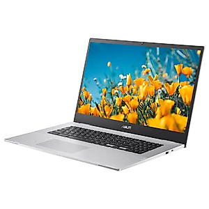 ASUS 17.3'' FHD Chromebook, Intel Celeron N4500, 4GB RAM, 64GB eMMC, Webcam, Micro SD Card Reader, Wi-Fi 6, Chrome OS, Silver,(CXB170CK)