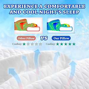 HARBOREST Ice Cube Cooling Pillow for Side Sleepers Memory Foam Side Sleeper Pillow Support Head & Neck for Pain Relief，12"x24"x5"