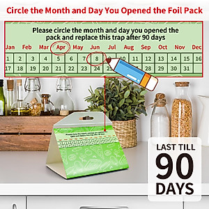 UltraPestcide Pantry Moth Traps with Pheromones, 6 Pack - Sticky Glue Moth Traps for House Kitchen, Indoor Pantry Moth Killer, Premium Attractant Moth Pheromone Traps