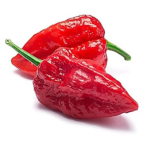 Pepper Joe’s Ghost Pepper Seeds – Pack of 10+ Superhot Chili Pepper Seeds – USA Grown – Premium Non-GMO Bhut Jolokia Seeds for Planting in Your Garden