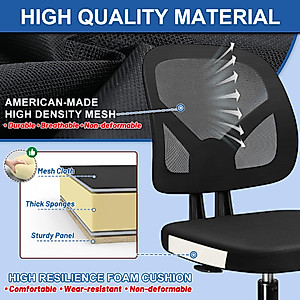 Armless Swivel Mesh Computer Office Desk Chair No Arms Height Adjustable with Lumber Support for Child and Adult