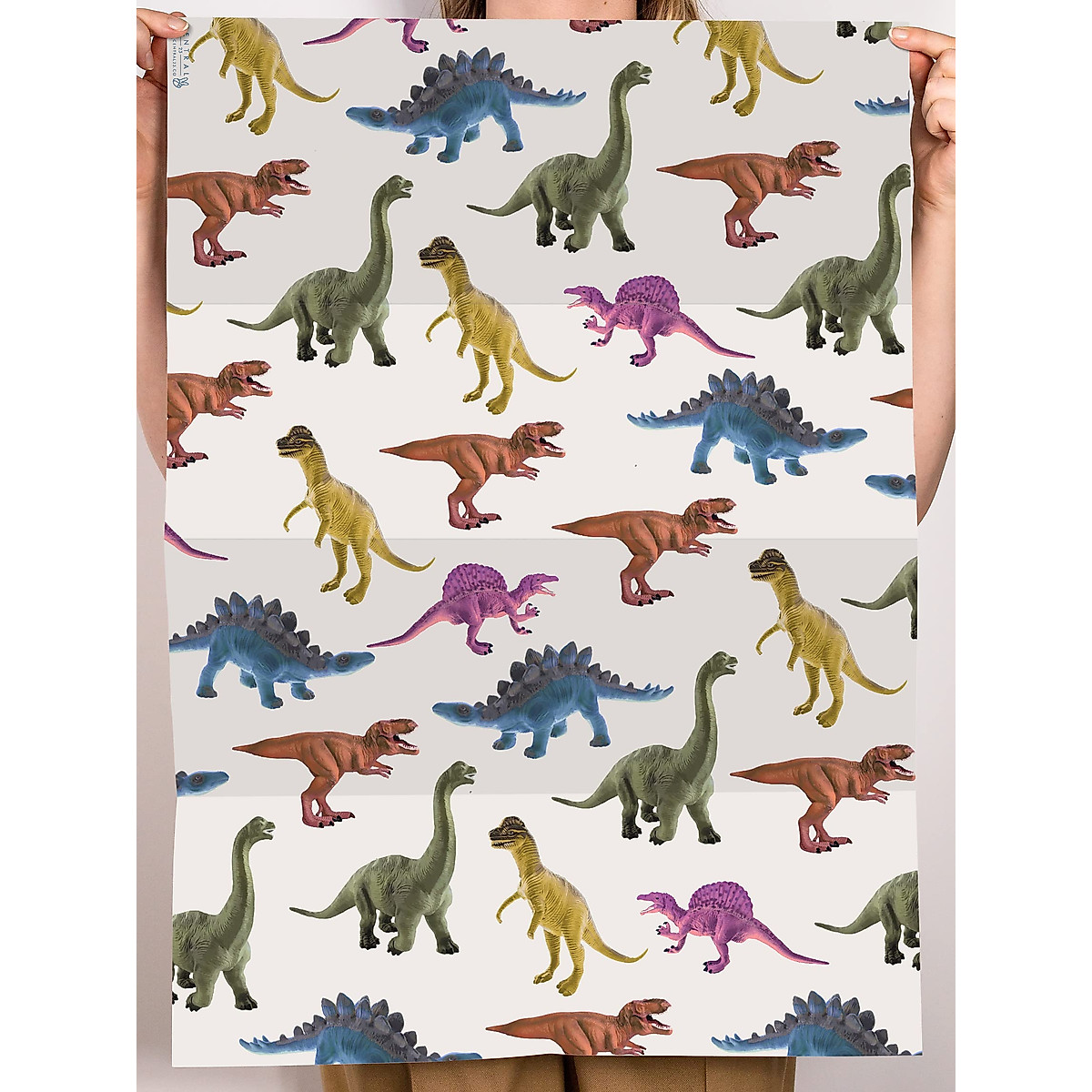CENTRAL 23 Dinosaur Wrapping Paper - 6 Sheets Gift Wrap - For Birthday Christmas Baby Shower - Boys Girls Men Women - Comes With Fun Stickers