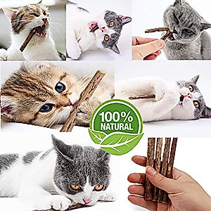 WoLover Cat Catnip Sticks Natural Matatabi Silvervine Sticks - Cleaning Teeth Molar Tools Kitten Cat Chew Toy Natural Catnip Cat Toy (10 PCS)
