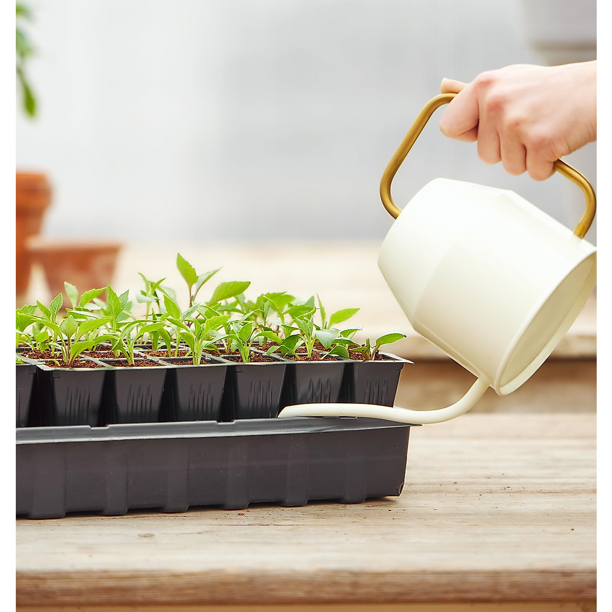 Burpee Self-Watering Seed Starter Tray, 72 Cells