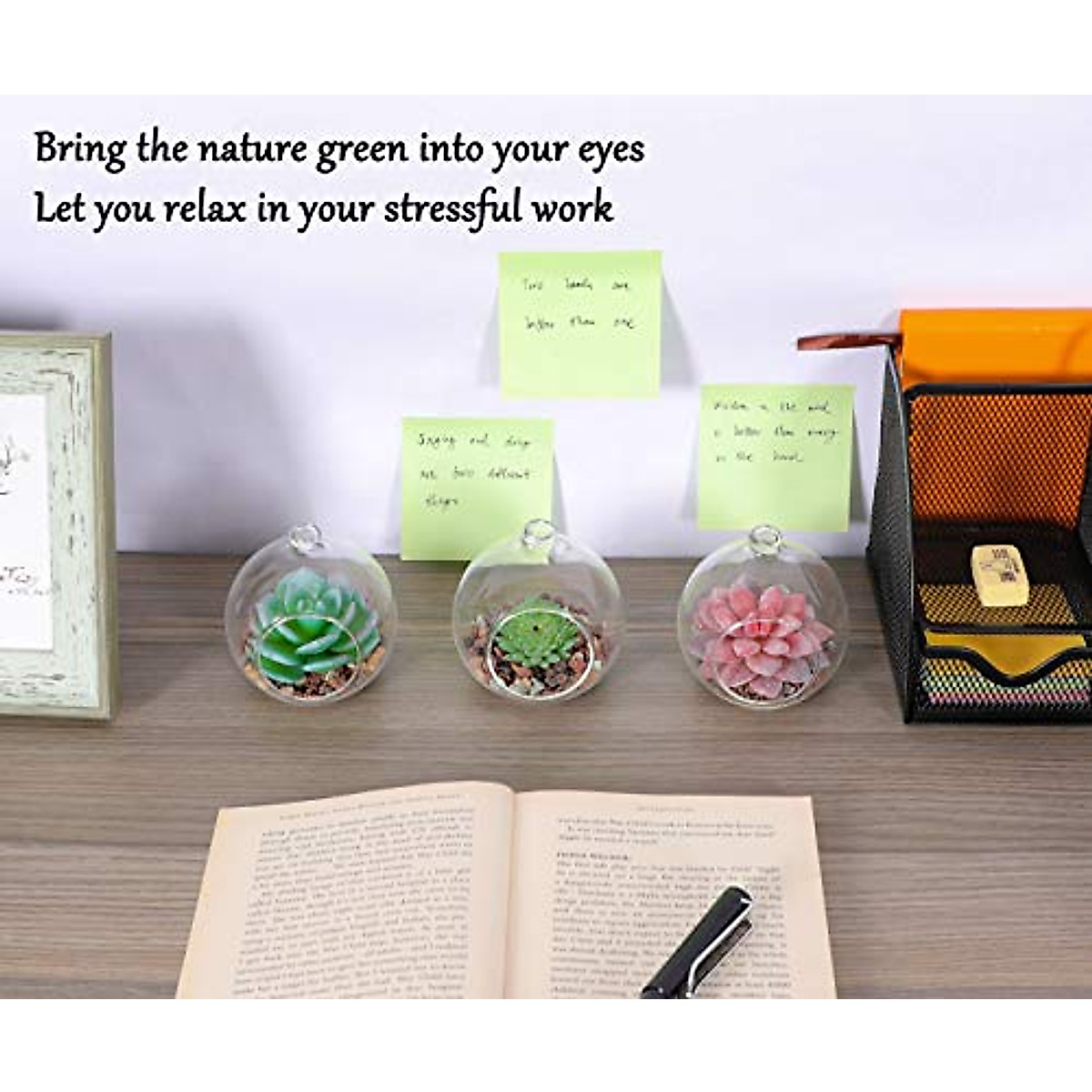 TQVAI 4 Pack Hanging Glass Globe Air Planter Terrarium Vase with 39 inch Sling (Not Included The Plants)