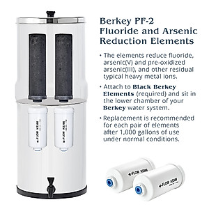 Set of 2 Berkey Authentic Black Berkey Elements (BB9-2) and 2 Berkey PF-2 Fluoride and Arsenic Reduction Elements - Combo Pack