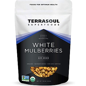 Terrasoul Superfoods Organic Sun-dried White Mulberries, 2 Lbs (Pack of 2), Sweet Superfood Snacking, Smoothie Booster, and Nutrient-Packed Yogurt Topping