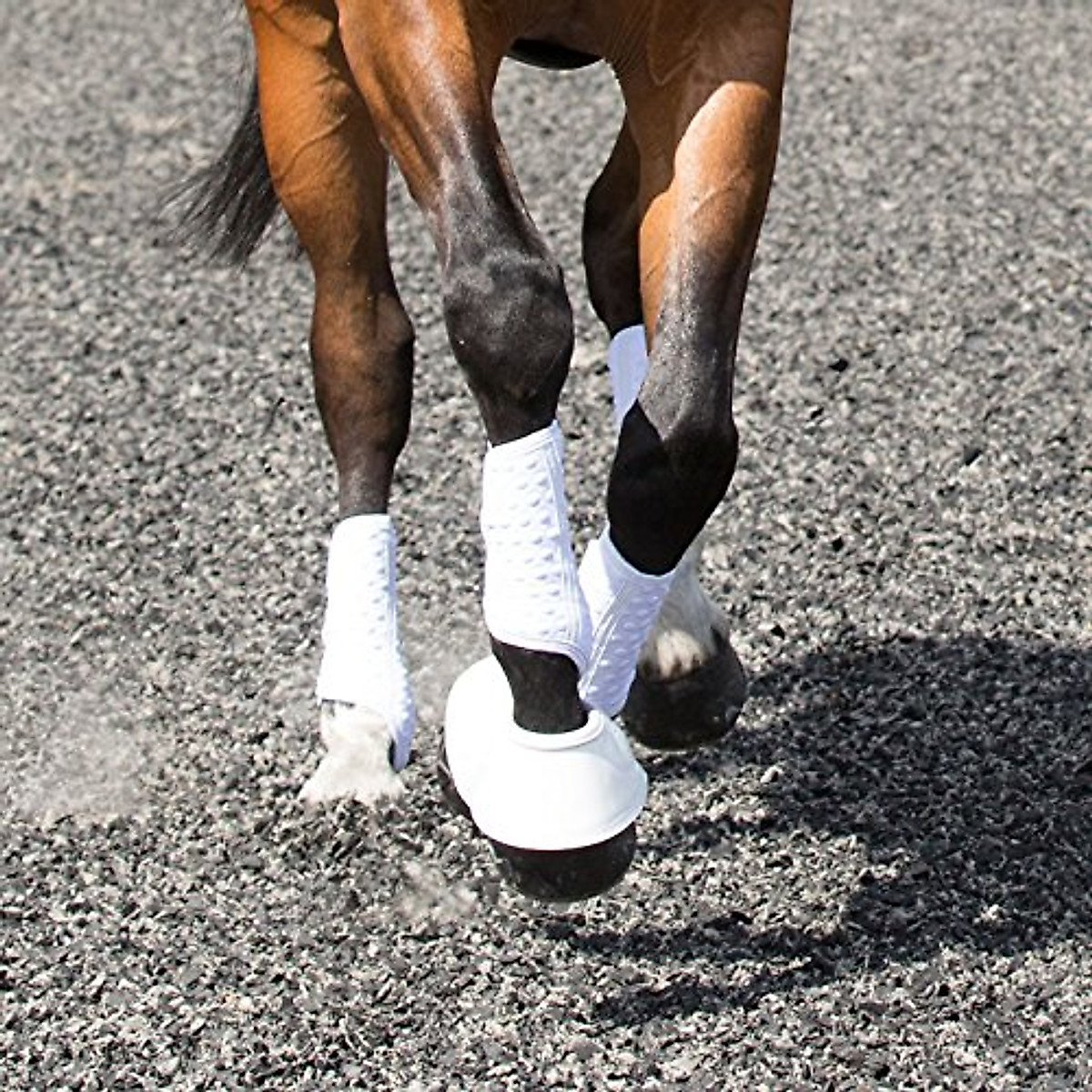 Equilibrium Stretch & Flex Flatwork Exercise Wrap Small White