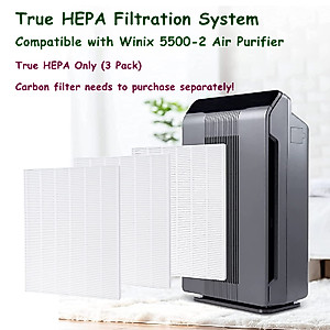 116130 HEPA Replacement Filter H Compatible with Winix 5500-2 Air Purifier and Models AM80, HEPA Filter Only 3 Pack