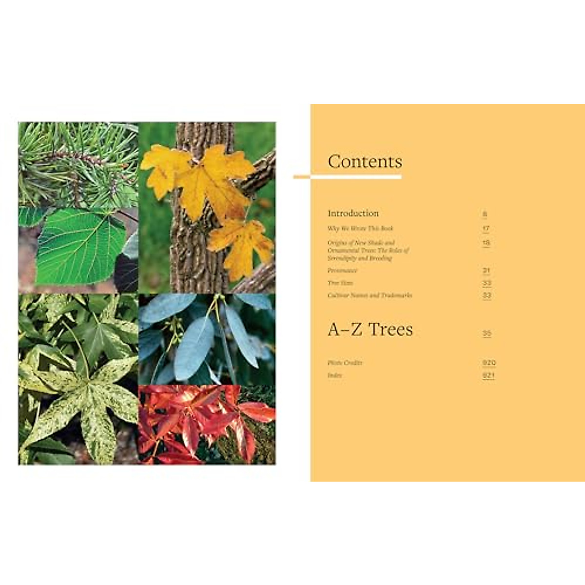 The Tree Book: Superior Selections for Landscapes, Streetscapes, and Gardens