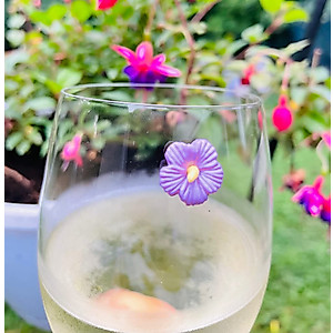 Simply Charmed Beach Wine Glass Charms - Magnetic Drink Markers for Stemless or Stemmed Glassware - Set of 12 Wine Magnets