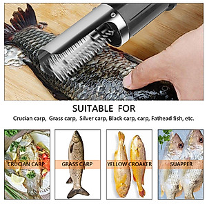 Quebuygo Electric Fish Scaler, Hand-held Cordless Powerful Electric Fish Scraper with Extra Stainless Cutter Head, Electric Descaler Fish Cleaner Tool Waterproof Design for Fish Market and Kitchen