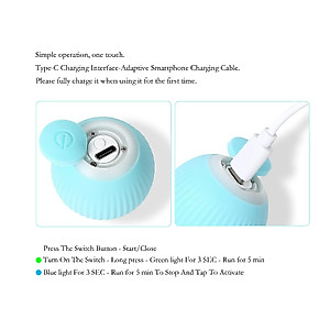 Found Notice Cat Ball Toy, Interactive Cat Toys, Automatic Motion Activated Moving Ball Hide and Seek Game for Indoor Exercise，Gifts for Kittens