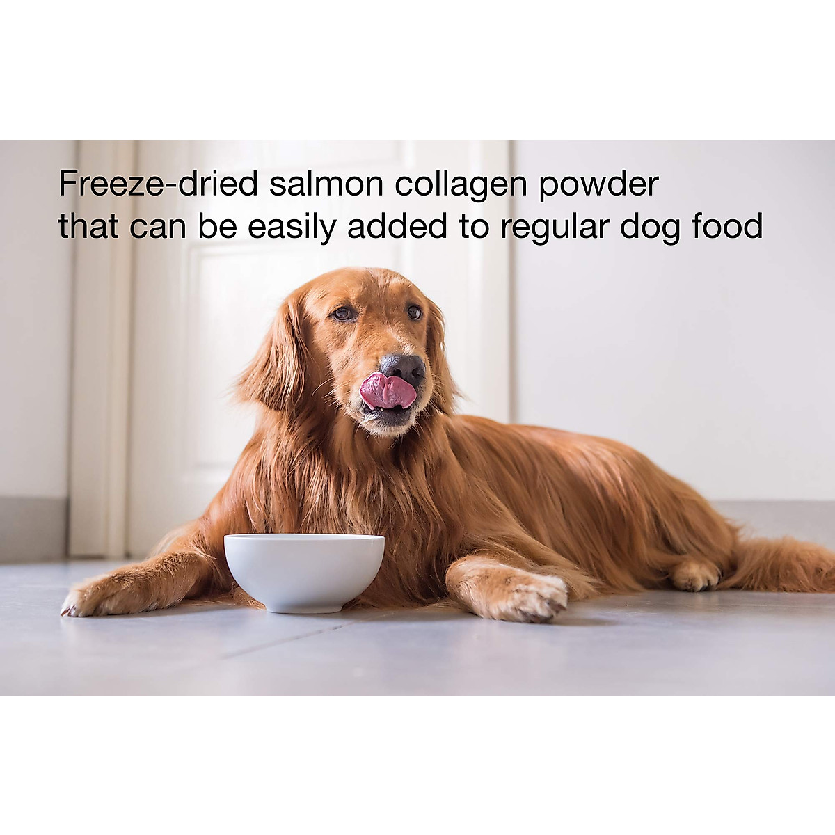 K9 Collagen Hip & Joint Supplement for Dogs - Fish Collagen Powder for Canines, Supports Healthy Joints, Improved Mobility, Pain Relief, Pet Wellness, Puppy Care, 1 Month Supply