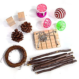 Joyeee Hamster Chew Toys Set 11 Pack, Small Animal Molar Toys Teeth Care Natural Wooden Accessories for Guinea Pigs,Chinchillas,Gerbils,Mice,Rats,and Other Small Animals