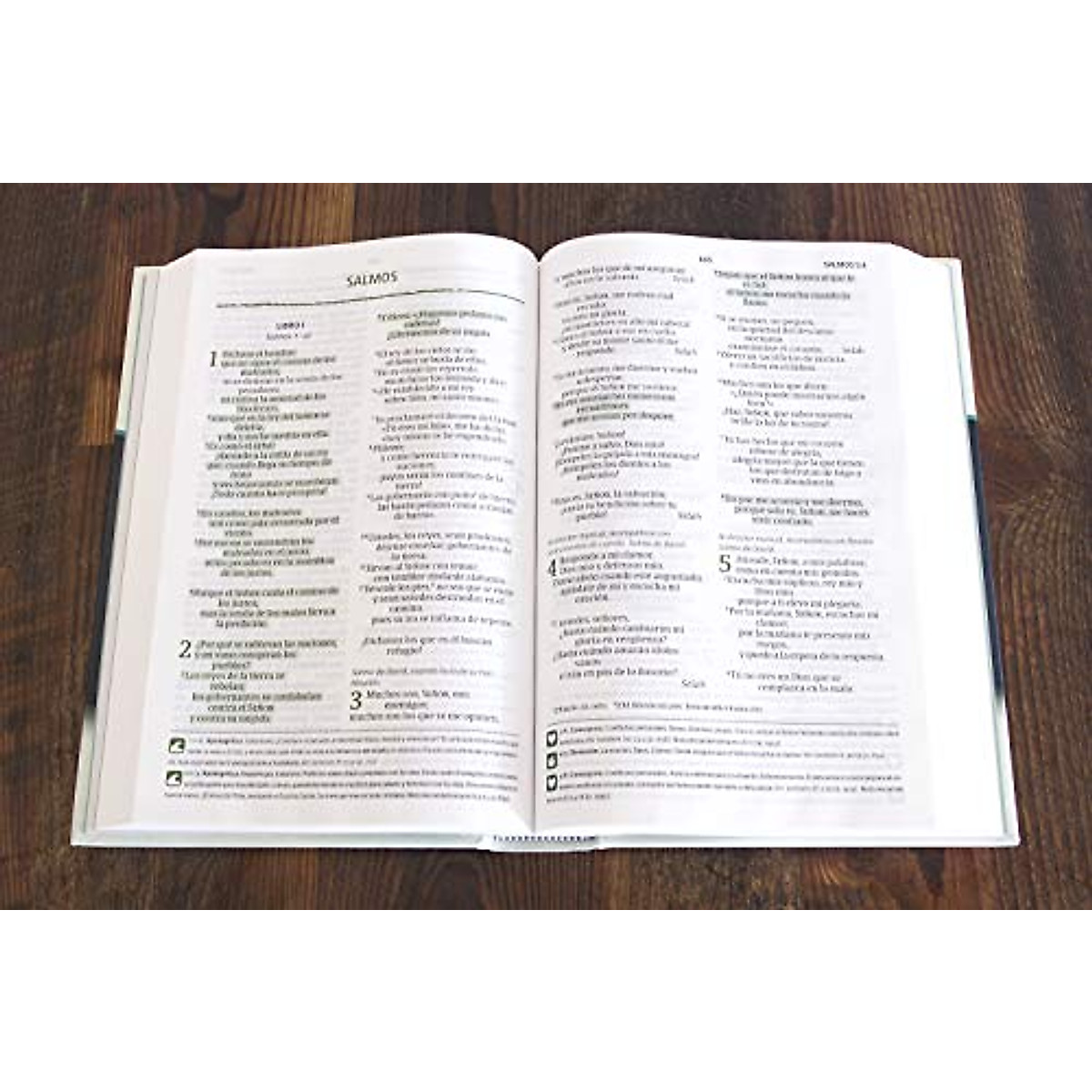 Nueva Versión Internacional Biblia del Pescador, letra grande, verde tapa dura | NVI Fisher of Men Bible, Large Print, Green, Hardcover (Spanish Edition)