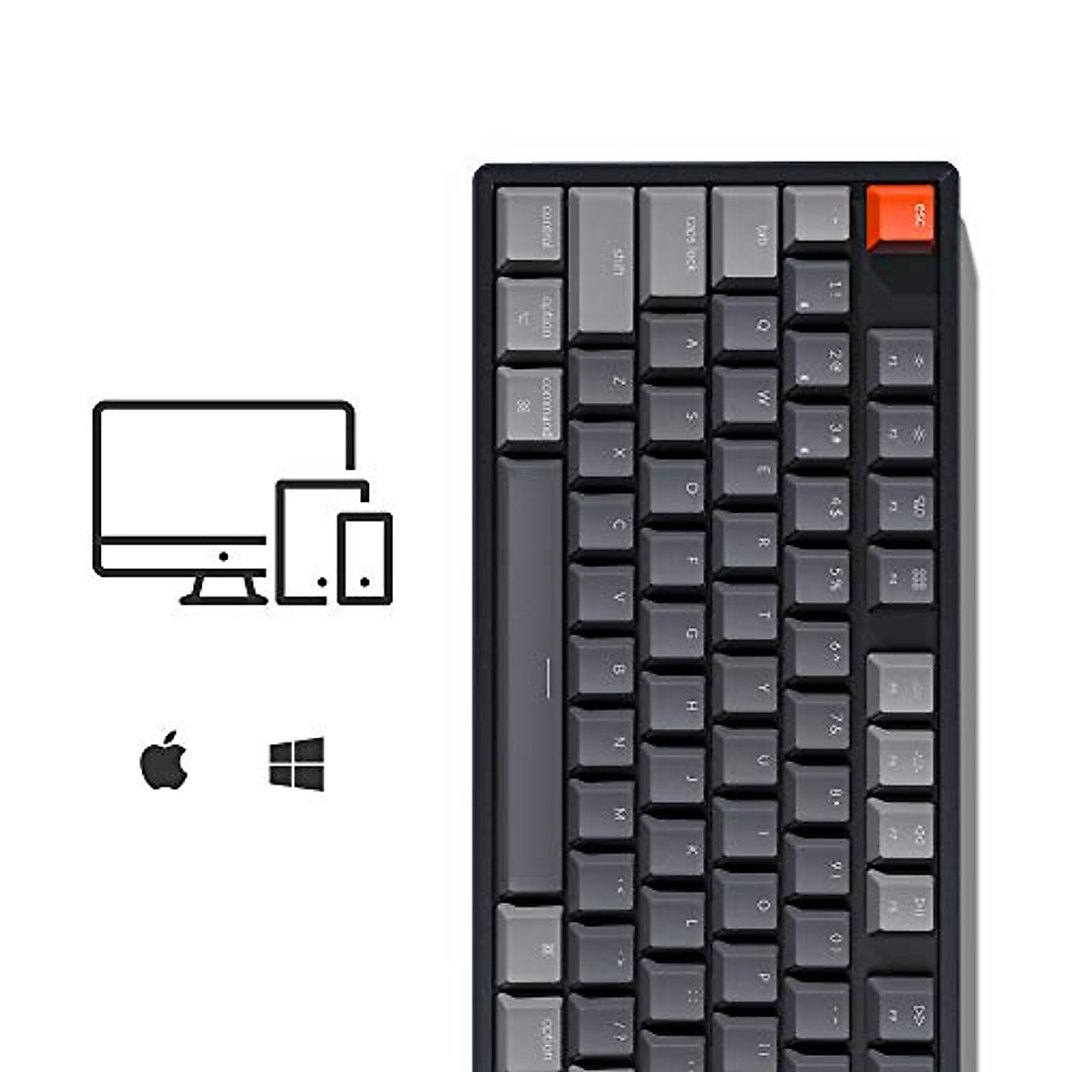 Keychron K8 Wireless Bluetooth/USB Wired Mechanical Keyboard, Hot-swappable Tenkeyless 87 Keys RGB LED Backlit Gateron Blue Switch N-Key Rollover, Aluminum Frame for Mac and Windows