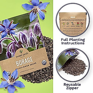 Sweet Yards Seed Co. Borage Seeds – Extra Large Packet – Over 1,200 Open Pollinated Non-GMO Wildflower Seeds – Borago officianalis