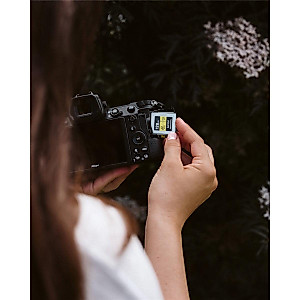 Lexar Professional CFexpress 128GB Type-B Card (LCFX10-128CRBNA)