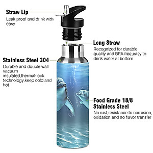 Dolphin Water Bottle with Straw Lid Thermos Ocean Kids Insulated Stainless Steel Water Flask 20 Oz Dolphins