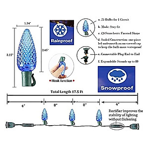 Outdoor C9 Holiday String Lights Strawberry Blue Christmas Lights Commercial Grade,8" Spacing 25LED, Green Wire 18Ft Heavy-Duty Wedding Party Decorative Lights