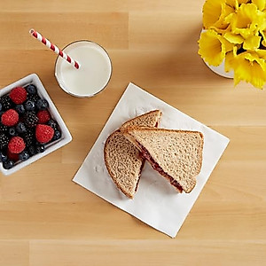 Vanity Fair Everyday Paper Napkins, 100 2-Ply Disposable Napkins