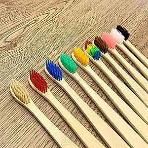 TXV Mart Eco-Friendly Natural Bamboo Toothbrush BPA Free Biodegradable Handle Mixed Color (Pack of 10 Individual Boxes)
