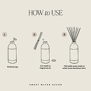 Sweet Water Decor Salt & Sea Reed Diffuser Set - Sea Salt Citrus & Musk Amber Scent Diffuser - Reed Diffusers for Home with Long Lasting Fragrance - Non-Toxic Oil Reed Diffuser - Made in the USA