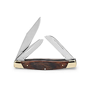 Buck Knives 373 Trio 3-Blade Folding Pocket Knife with Wood Handle