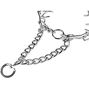 Darkyazi Durable Pinch Collar Stainless Steel Dog Adjustable Pet Training Collar for Medium Large Dogs (Large (Pack of 1), Silver)