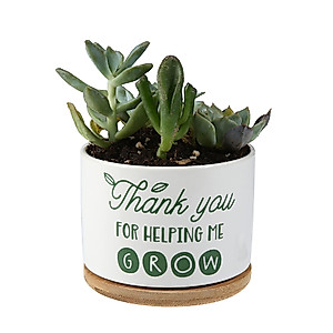 DOMG Teachers Appreciation Gift, Ceramic Succulent Plant Pot Small Flower Planter for Indoor Outdoor Use, Thank You for Helping Me Grow