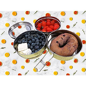 Sharvgun Stainless Steel Food Grade Bento Vintage Wire Tiffin Box, Traditional Indian Lunch Box,Tiffin Box,Food Container,Indian Tiffin, Food storage container 10 cm (3 Tier)