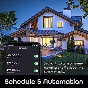 Geeni LUX Amber ST19 Edison WiFi LED Smart Bulb, 2700K - 6500K 8W, E26 Base, Dimmable, Tunable White Light, Compatible with Amazon Alexa & Google Home - No Hub Required- 2 Pack