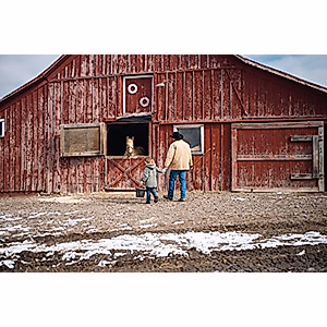 Hemptana Equine Hemp Seed Oil - Natural Support for Inflammation, Immune Support, & Gut, Coat, Hoof & Joint Health - Cold Pressed & Non GMO - Made in The USA - (1 Gal)