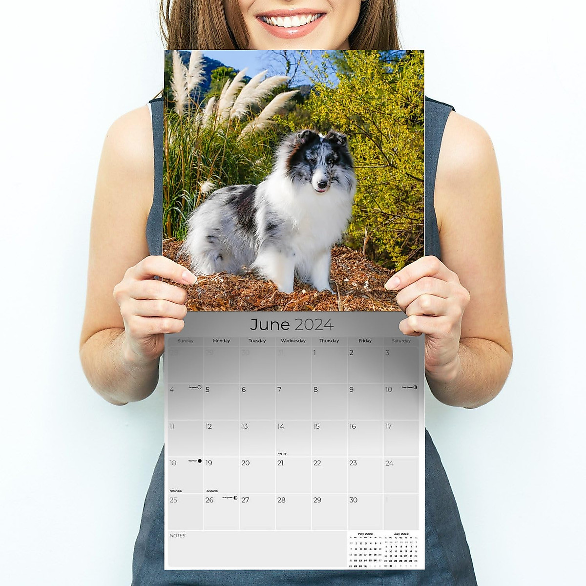2023 2024 Shetland Sheepdog Calendar - Dog Breed Monthly Wall Calendar - 12 x 24 Open - Thick No-Bleed Paper - Giftable - Academic Teacher's Planner Calendar Organizing & Planning - Made in USA