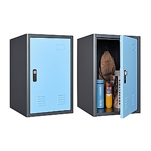 KAER Locker Storage Cabinet,Lockable Storage Cabinet,Metal Locker Storage Cabinet With1 Doors, 19.6" H Cabinet Organizer, for School, Office, Home,Preschool,Garage,Storage Room- Assembly Required