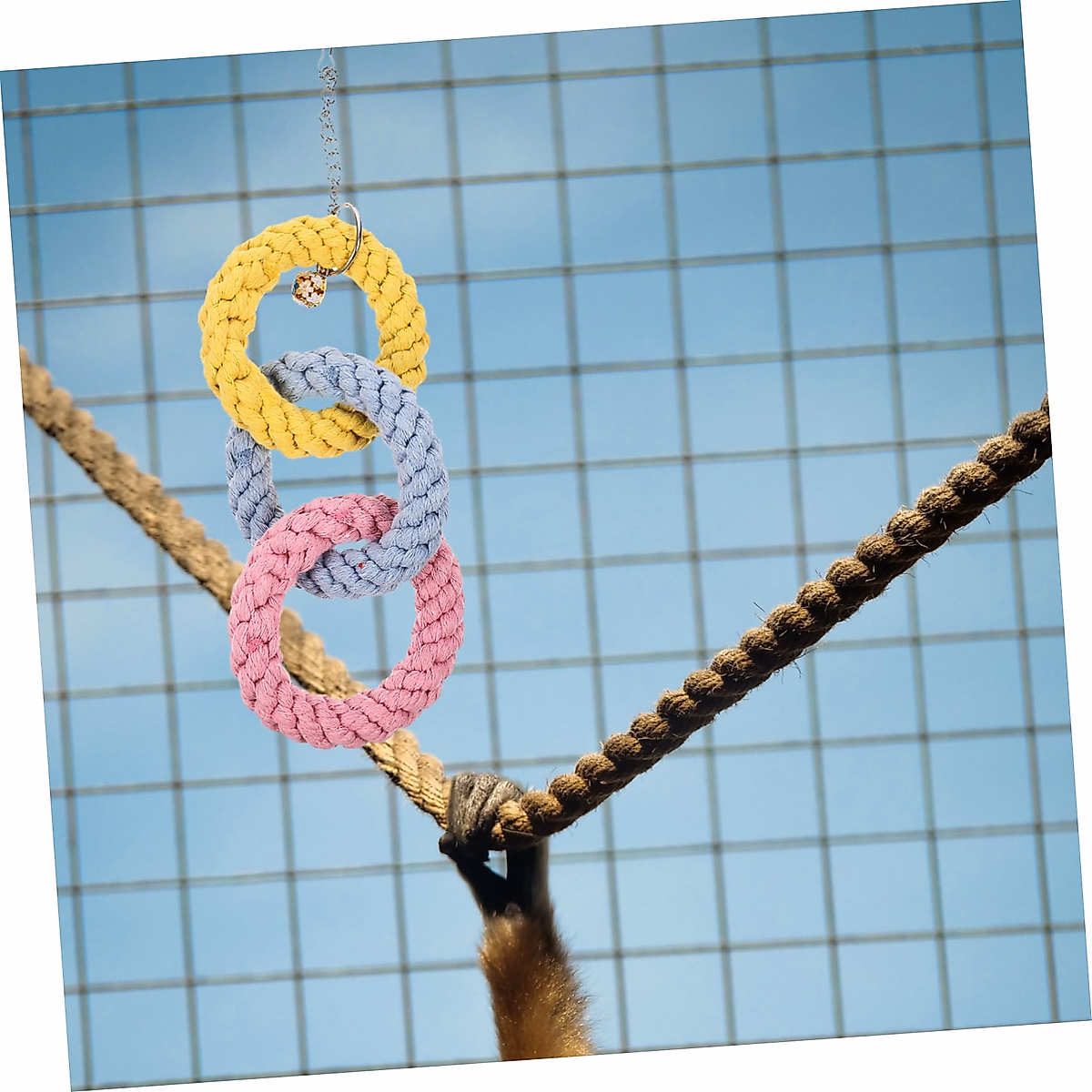 Hanging Three Ring Pendant Climbing Toy Bird Cages for Cockatiels Small Animal Cages Ferret cage Accessories Bird Swing Toys Ferret Treats cage Rope Toy Small pet Toys Rat Toy chew