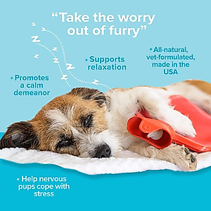 Okoa Pet "Hush Puppy Calming Dog Treats - Vet Formulated, Natural Peanut Butter Flavor Soft Chews - Anxiety Relief for Dogs with Hemp - Ideal for Separation, Travel, Fireworks - Made in USA (2 Pack)