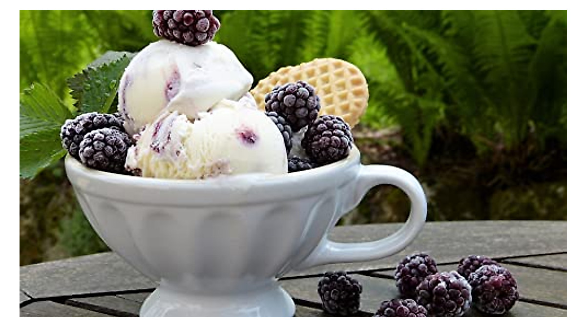 Chester Thornless BlackBerry - Non-GMO 2 Pack