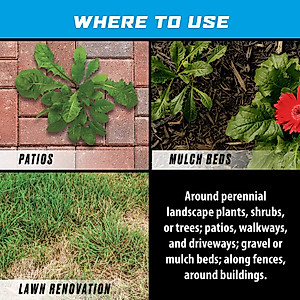 Ortho GroundClear Super Weed and Grass Killer1: Eliminates Tough Weeds and Grass, Ready-To-Use, Fast-Acting, 1 gal.