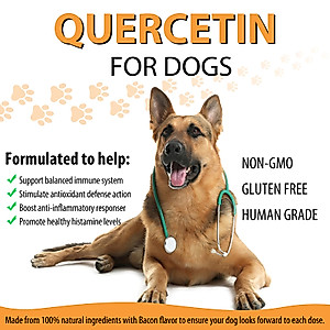Quercetin for Dogs, Dog Quercetin Liquid Drops Supports Dogs Allergy Relief, Dog Herbal Supplement - Pet SuppliesQuercetin for Dog Itch Remedies - 60 ml / 2 fl.oz
