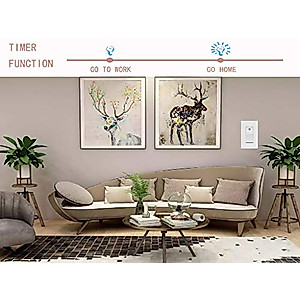 Smart Light Switch,Jinvoo WiFi Smart Wall Light Switch,Voice Control and Timing Function,No Hub Hequired,Easy and Safe Installation Compatible with Alexa and Google.（2 Pack）