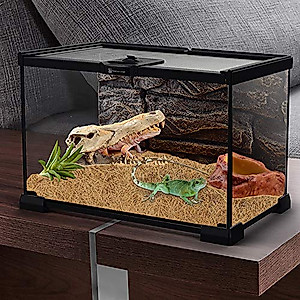 Reptile Carpet, Natural Coconut Fiber Mat for Pet Terrarium Liner, Coconut Fiber Substrate Reptile Supplies for Tortoise, Lizards, Chameleons, Snakes, Geckos, Bearded Dragon (12" x39.4" x 2Pack)