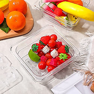 Zubebe 6 Pcs Plastic Drain Shelf for Size Food Pan Clear Plastic Grate Acrylic Food Drain Trays for Kitchen Restaurant Hotel (1/6)