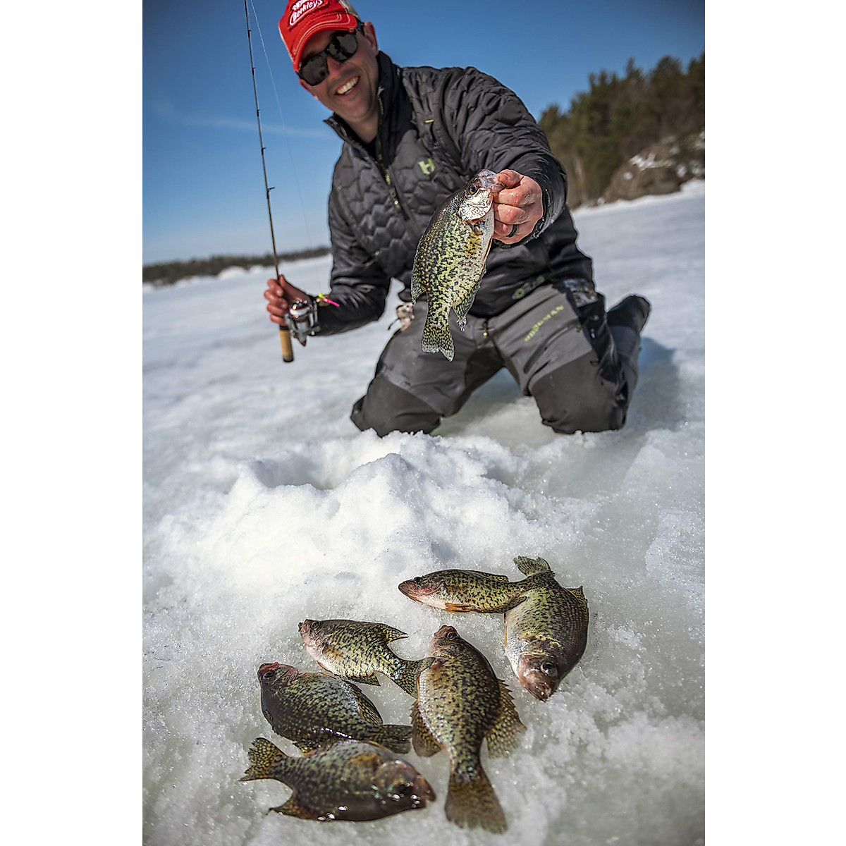 Fenwick HMG Perceptip Ice Fishing Rod