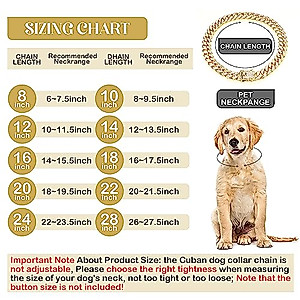 Dog Chain Diamond Cuban Collar Walking Metal Chain Collar with Design Secure Buckle, Pet Cuban Collar Jewelry Accessories for Small Medium Large Dogs Cats(Gold,8 Inch)