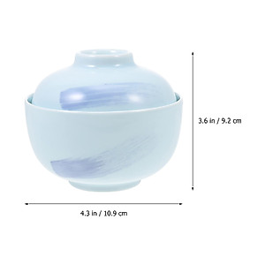 Hemoton 1pc Stew Pot Kitchen Supply Soup Bowl with Lid Noodles Bowl Ceramic Bowl with Lid Stew Cooking Pot Glass Pans Food Mini Clay Pots Glass Saucepan Onion Ceramics French