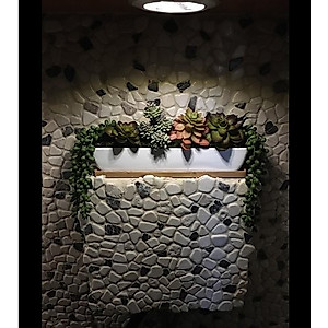 11inch Long Rectangle White Ceramic Succulent Planter Pots/Mini Flower Plant Containers with Bamboo Saucers. Product Size:11x2.36x1.77inch,not Include The Plant. (Long Rectangle)