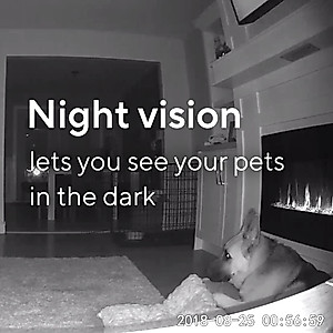 WYZE Cam Pan 1080p Pan/Tilt/Zoom Indoor 360° Pet Monitoring Camera 32GB MicroSD Card Class 10